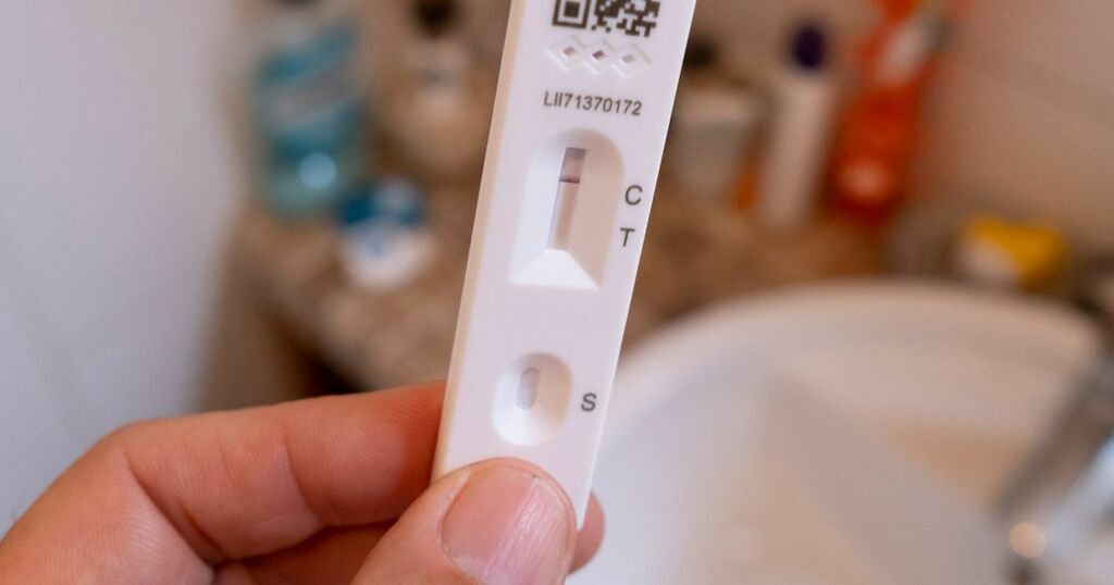 How to order lateral flow tests and how often you…