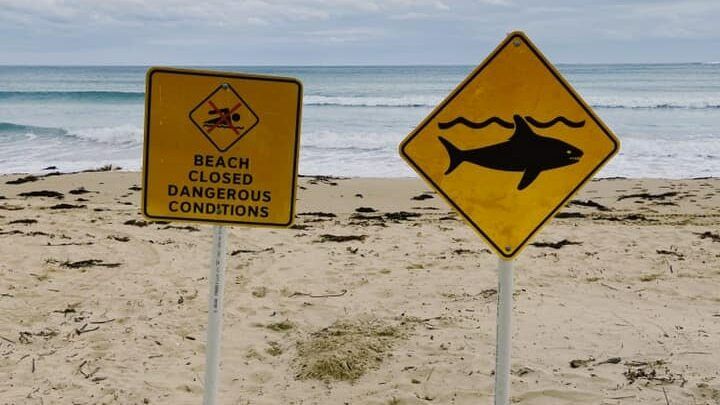 Warrnambool beach closed after large shark spotted…