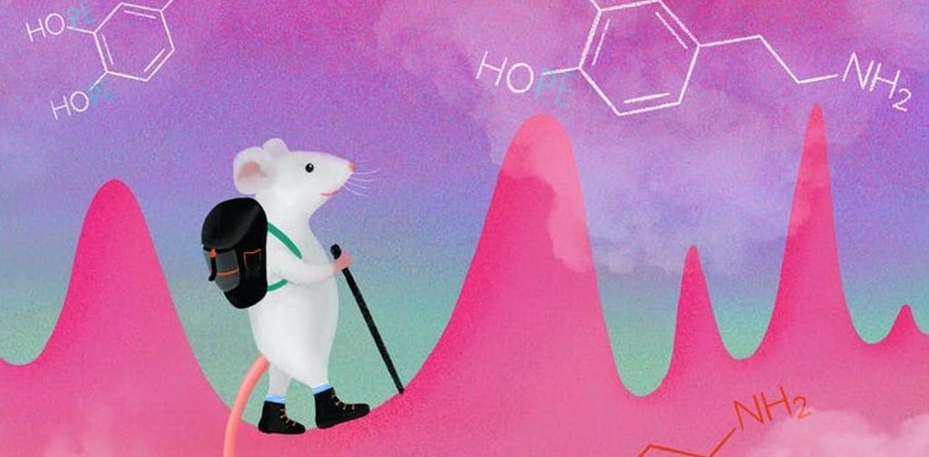 Researchers trained mice to control seemingly random…