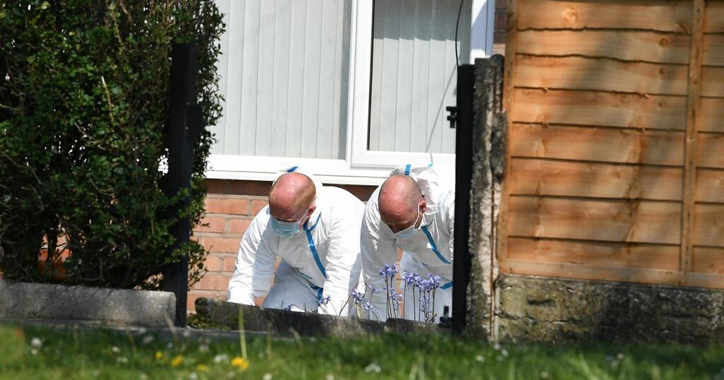 Pizza box shooting plots drew in some of the north's…