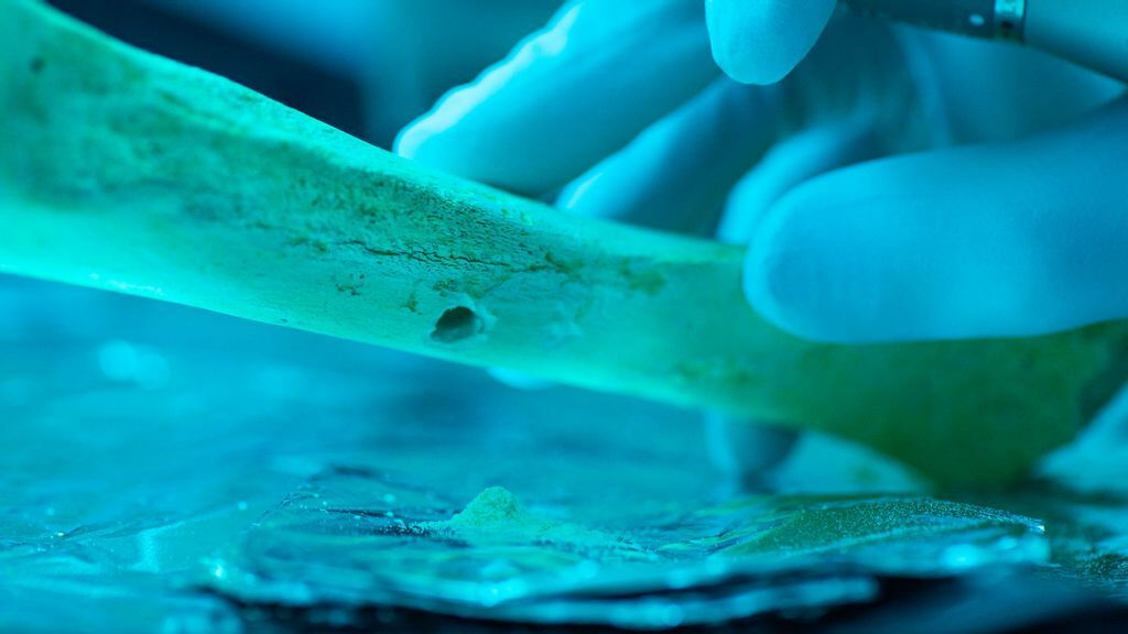 Ancient Humans Rarely Mated With Cousins, Says DNA…