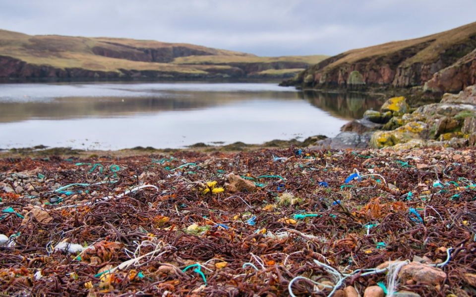 Scientists discover coastal litter hotspots around the…