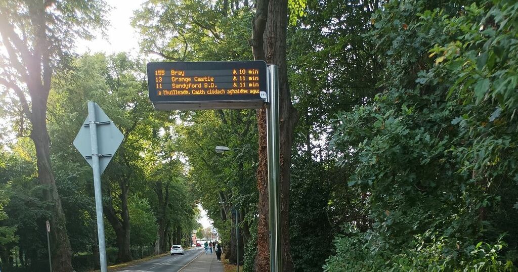 Legendary DCU 'bus stop' goes viral as it continues to…