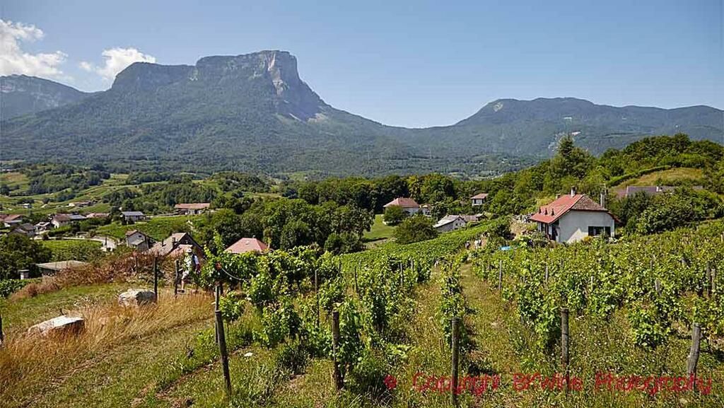 Savoie, Wines Close To The French Alps From Exciting…