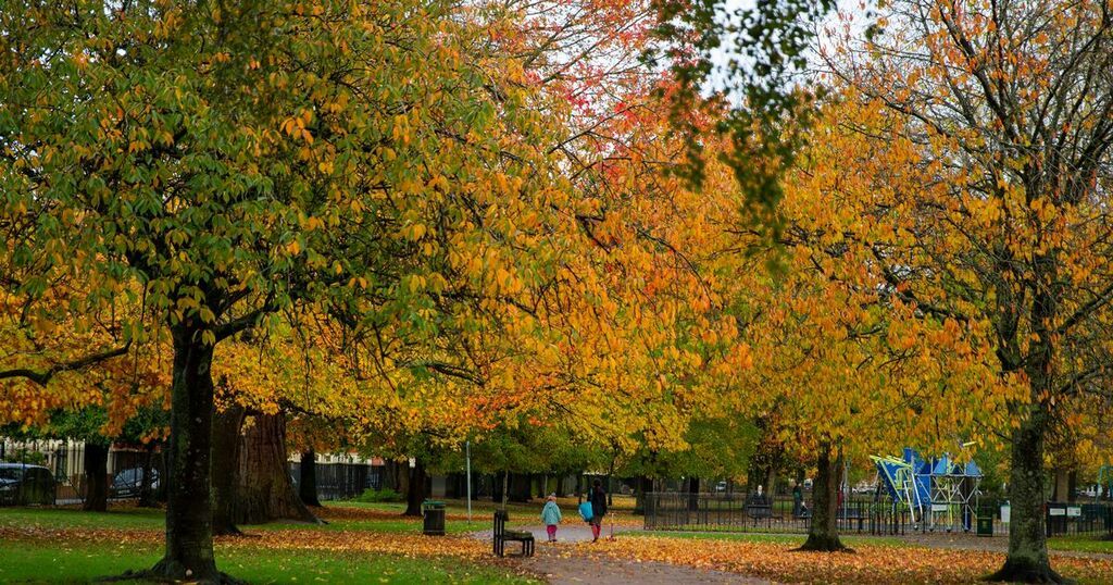 Cardiff's parks are the some of the best in the UK for…