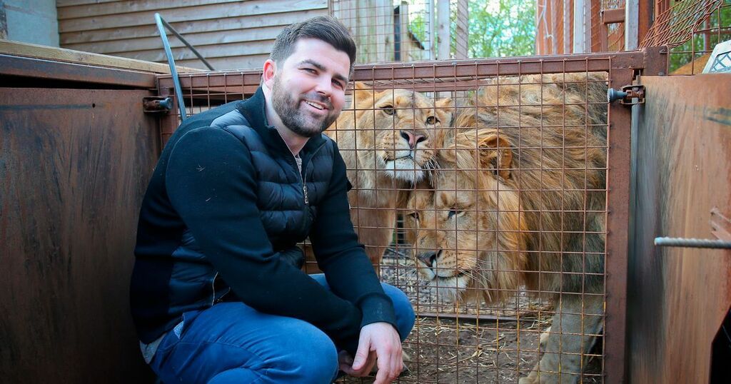 'Great victory' as plans to create new lion den in…