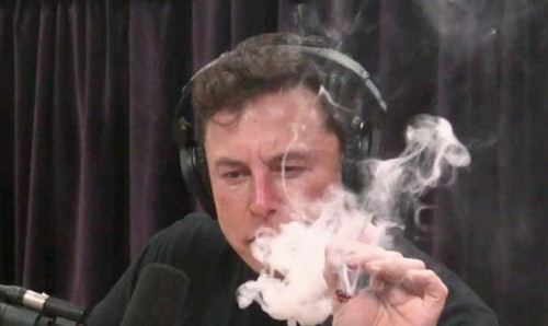 Genshin Impact's Elon Musk contest sparks the game's… Genshin Impact's Elon Musk contest sparks the game's…