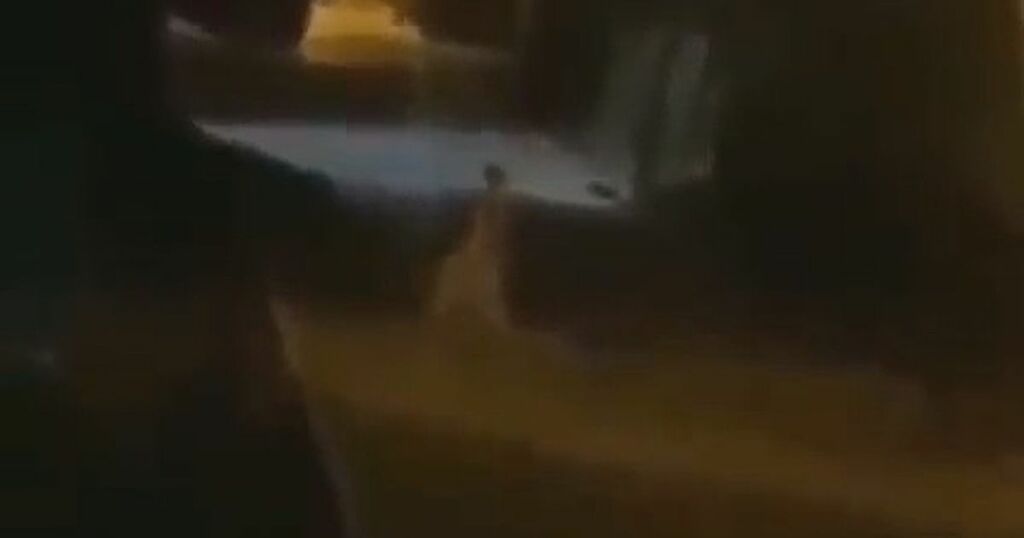 Woman dressed as ghost is shot dead after Halloween…