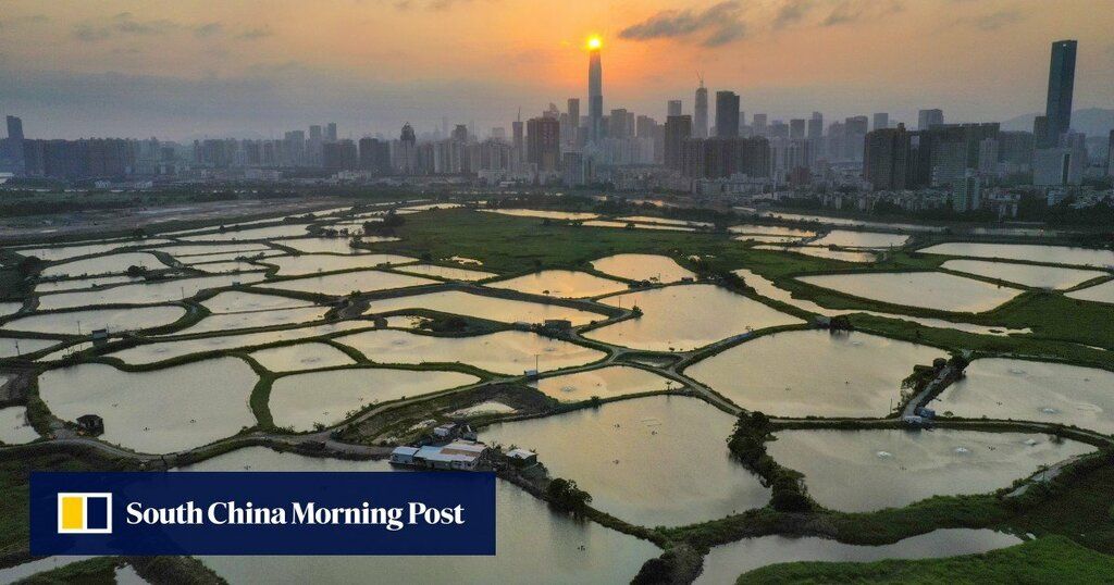 Plan to protect Hong Kong’s Northern Metropolis…