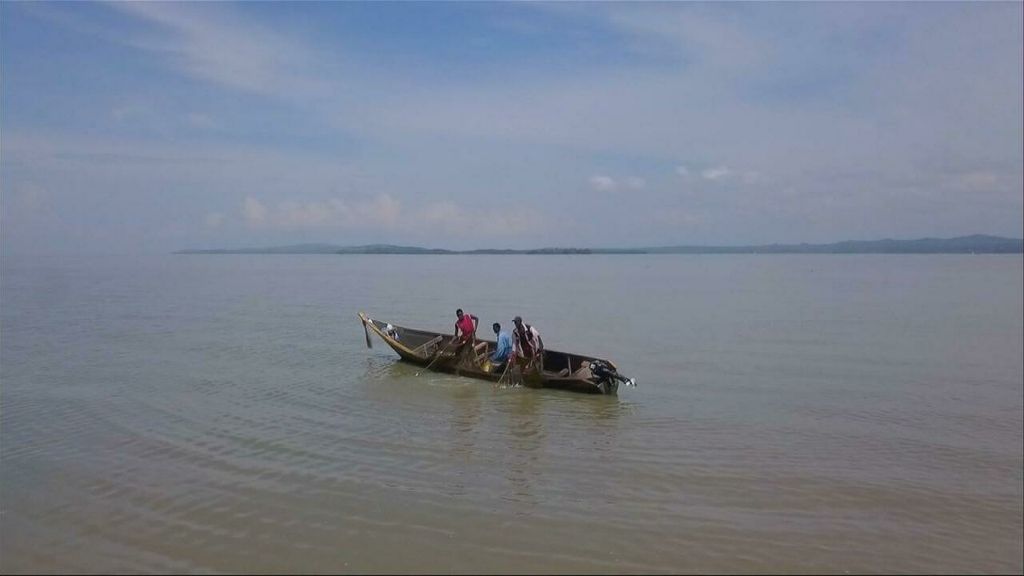 Lake Victoria's massive pollution: Africa's largest…