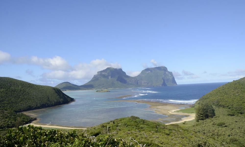 Survivors or intruders? Rats found on Lord Howe Island…