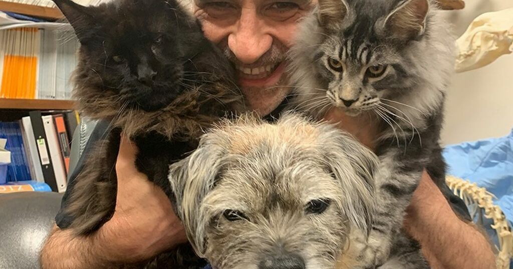 Noel Fitzpatrick's children book available now with a…