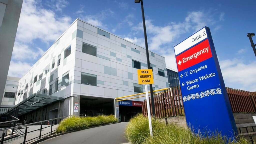Waikato DHB cyberattack: Health bosses waited hours…