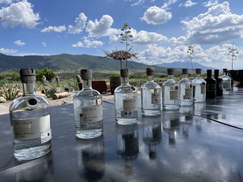 This Mezcal Distillery Is Also One Of Mexico’s Best…