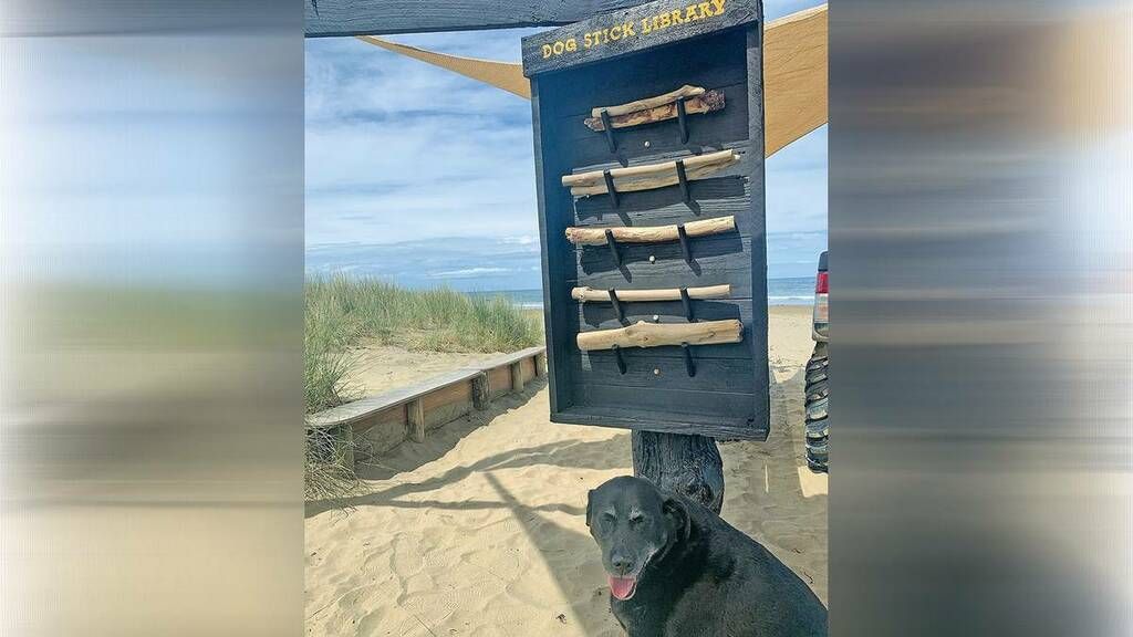Hawke's Bay man builds a dog stick library for…
