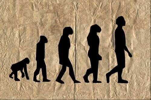 Who invented walking? The surprising ancient history,…