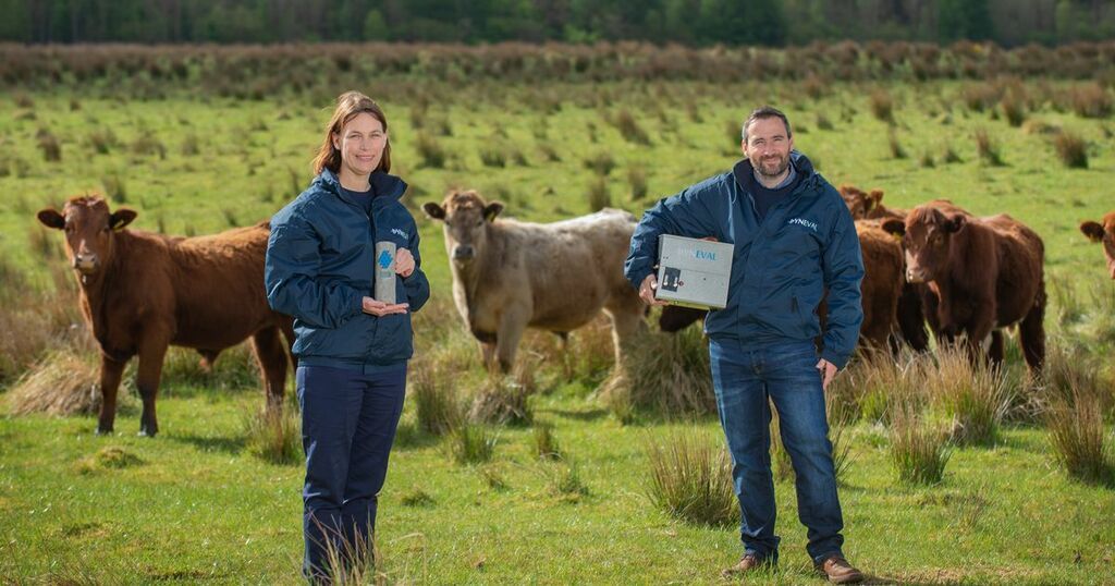 Dyneval lands £1.8 million for team expansion and…