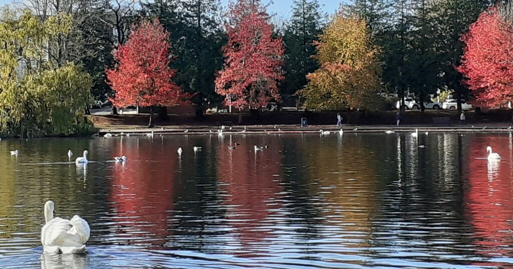 11 pictures to prove Roath Park is the best place to…