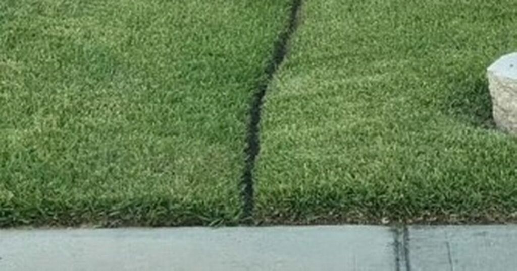 Man dubbed 'petty' after carving lawn in half…