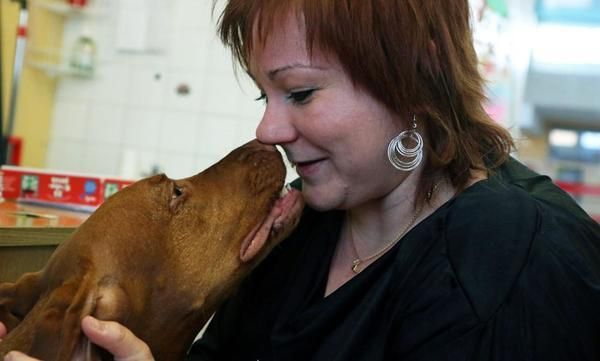 Turkeys on a plane: viral photo of therapy pet sparks…
