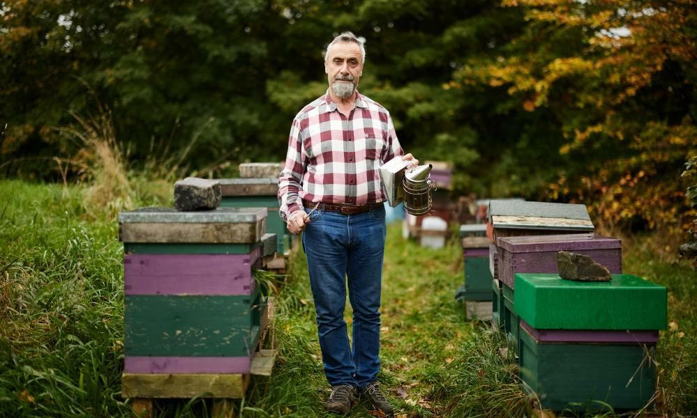 ‘I could be a bee in a hive’: the real-life Beekeeper…