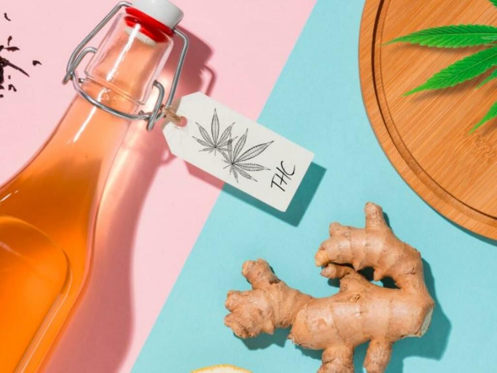 World's Largest Kombucha Company Launches Cannabis…