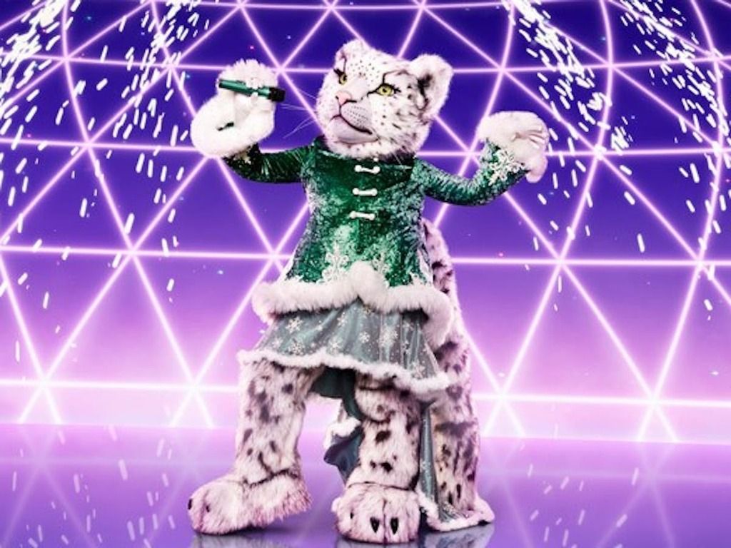 The Masked Singer: Second celebrity revealed after…