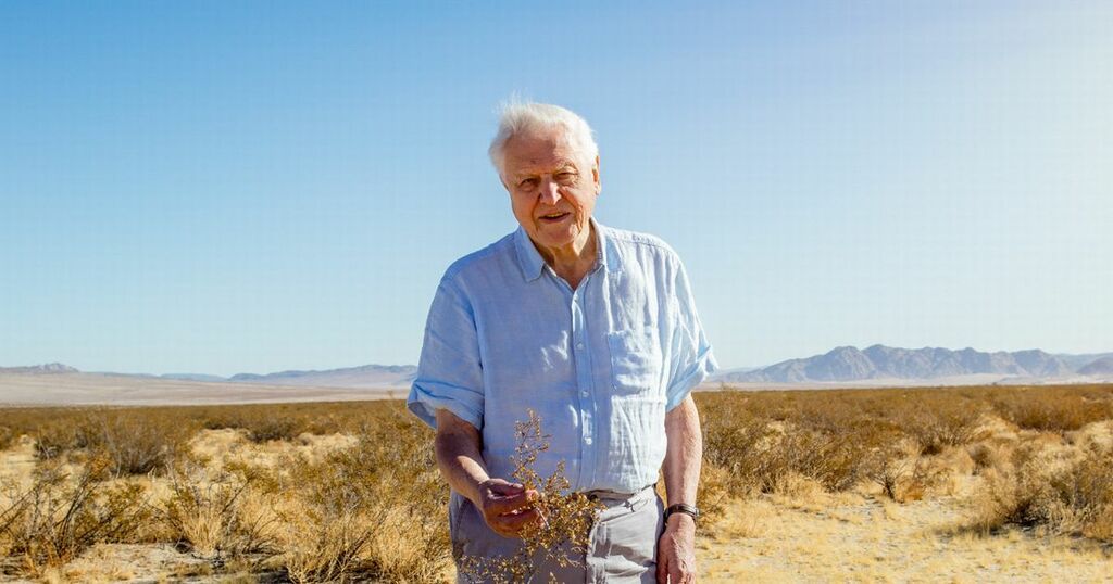 Sir David Attenborough's new BBC series details the…