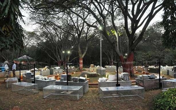 Rock museum inaugurated on NGRI campus