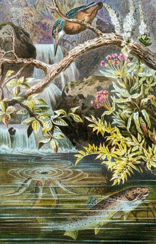 How human behavior is endangering England's hidden…