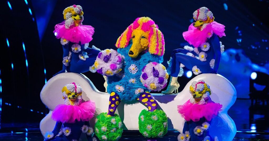 ITV The Masked Singer fans 'minds blown' as poodle is…