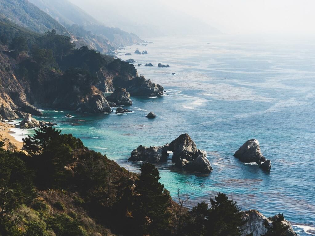 Cannabis Co. Shryne Group And UFCW Sign Historic…