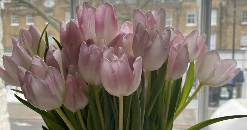 'I tried the 2p trick to stop Valentine's flowers from…