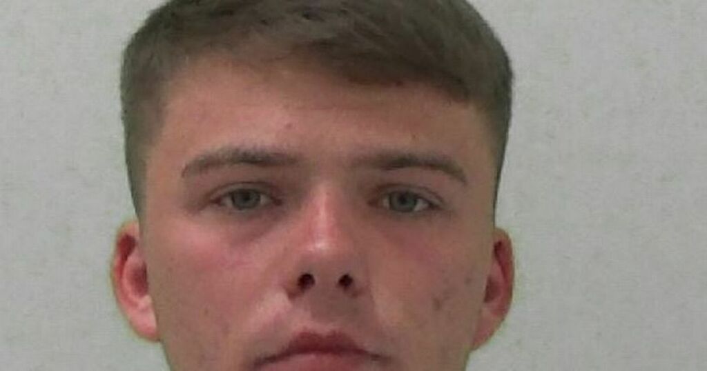 Student who glassed friend in unprovoked attack avoids…