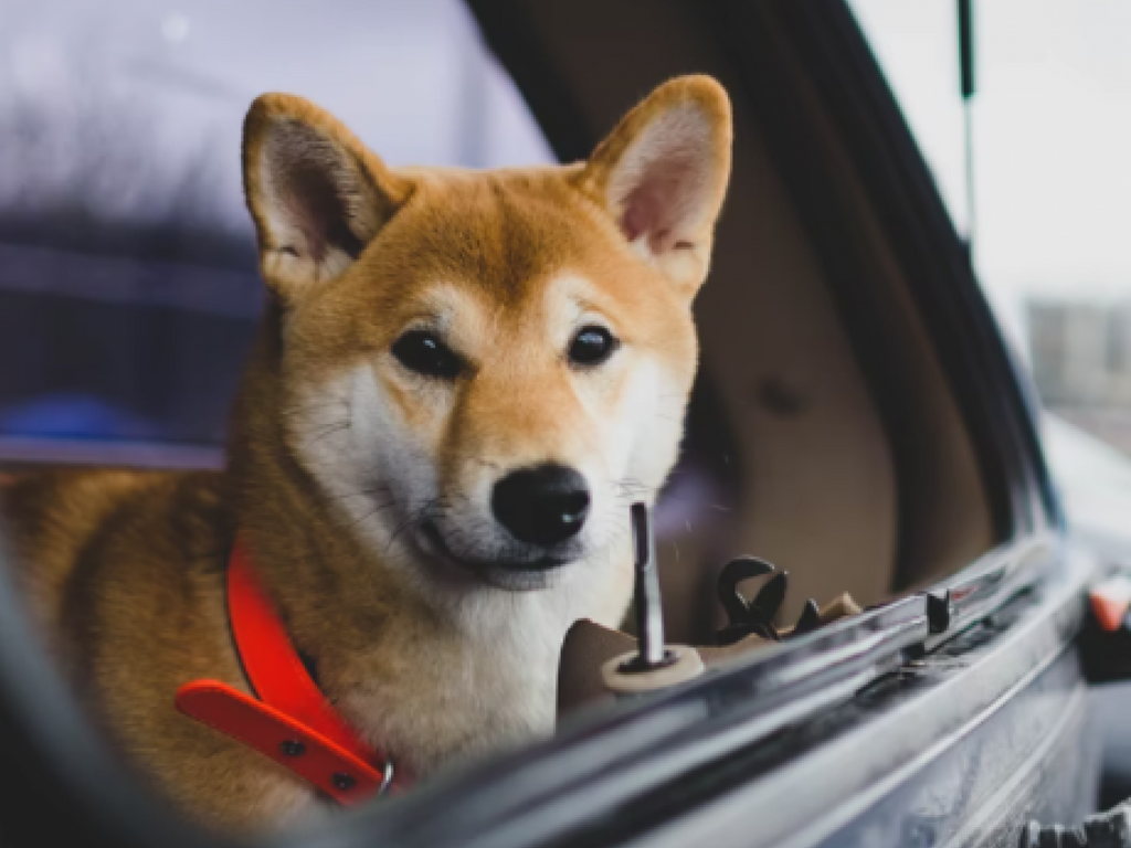 Elon Musk Says Doge Payment Accepted At Santa Monica…