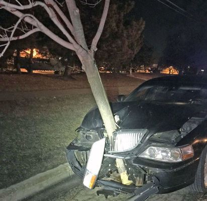 Police stop driver with 15-foot tree wedged in front…