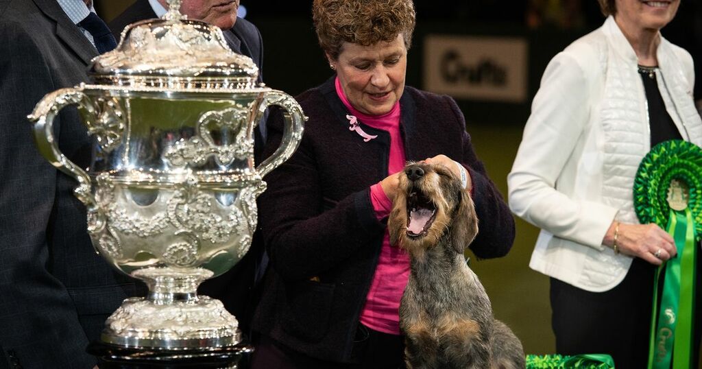 What time is Crufts 2022 on TV? Dates, times and full…