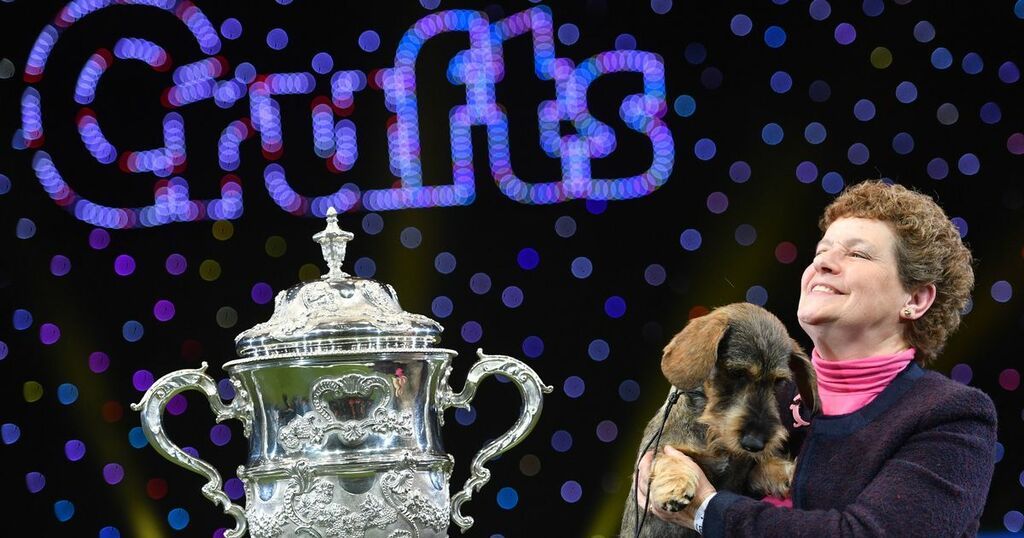 How to watch Crufts 2022, show times and how to get…