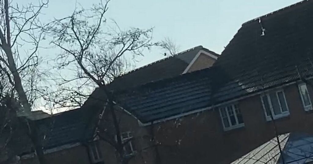 Mysterious 'angelic presence' captured floating above…