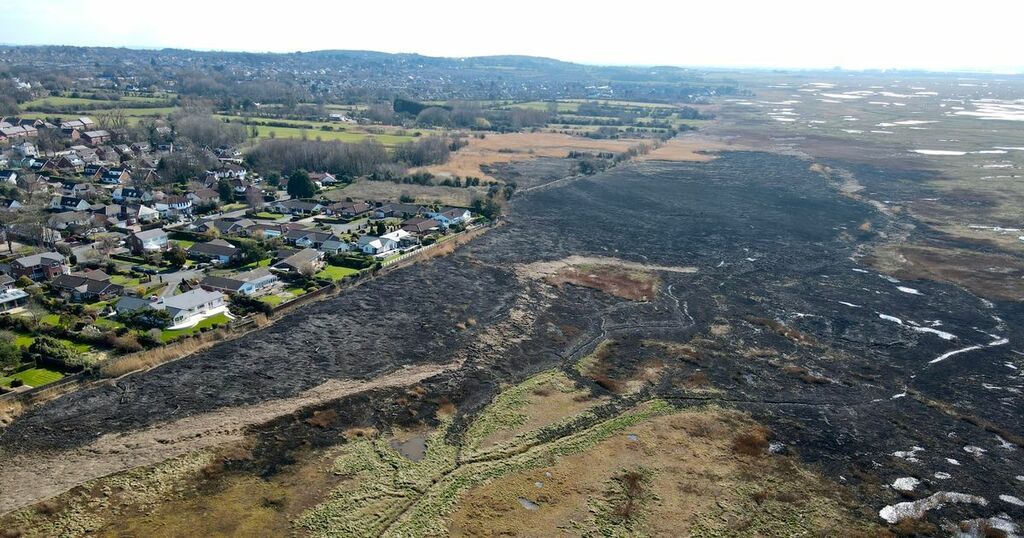 Drone footage shows devastation of Parkgate marsh fire
