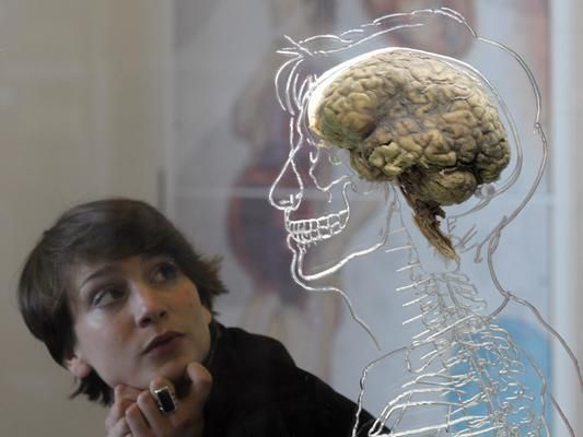 Russian billionaire Dmitry Itskov seeks 'immortality'…