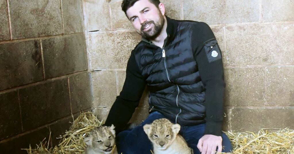 Reece Oliver gives message on future of Strelley…