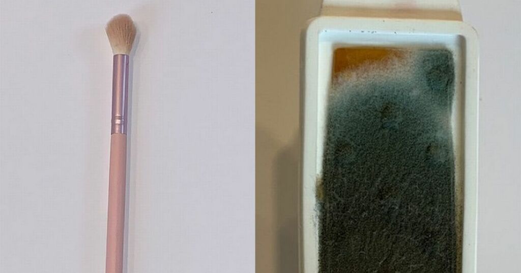 Grim photos show how unwashed make-up brushes can be…