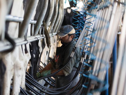 Five key questions for Fonterra