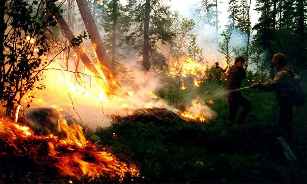 Lightning-sparked forest fires set to increase in…