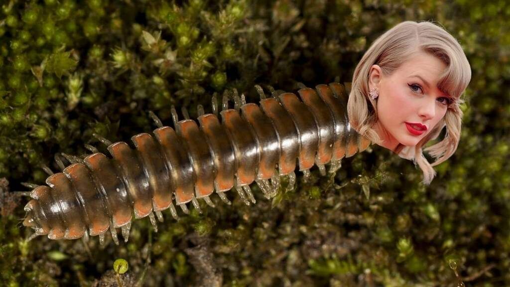 A Scientist Named A Whole Millipede Species After…