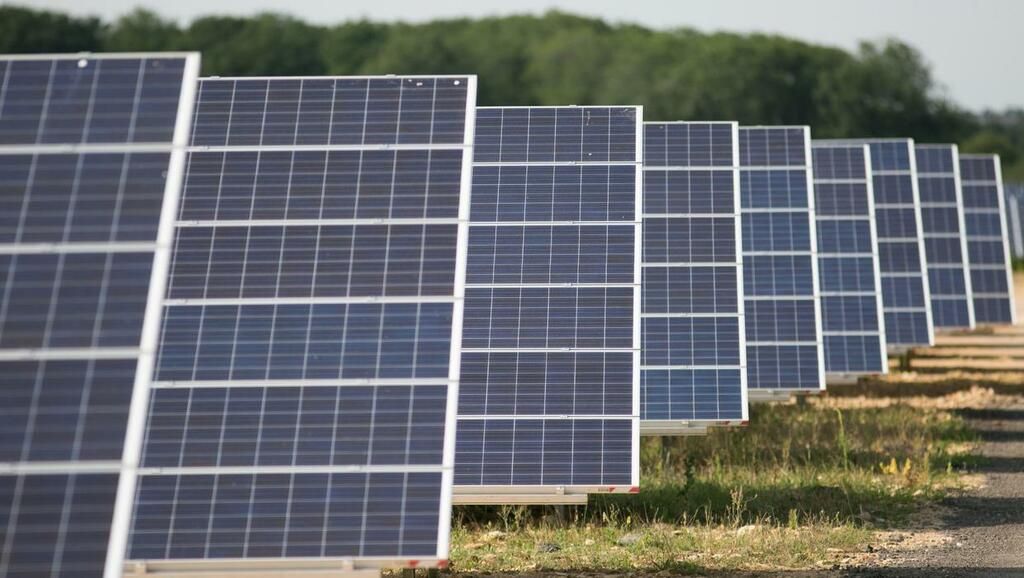 Large-scale solar farm opens in Wicklow