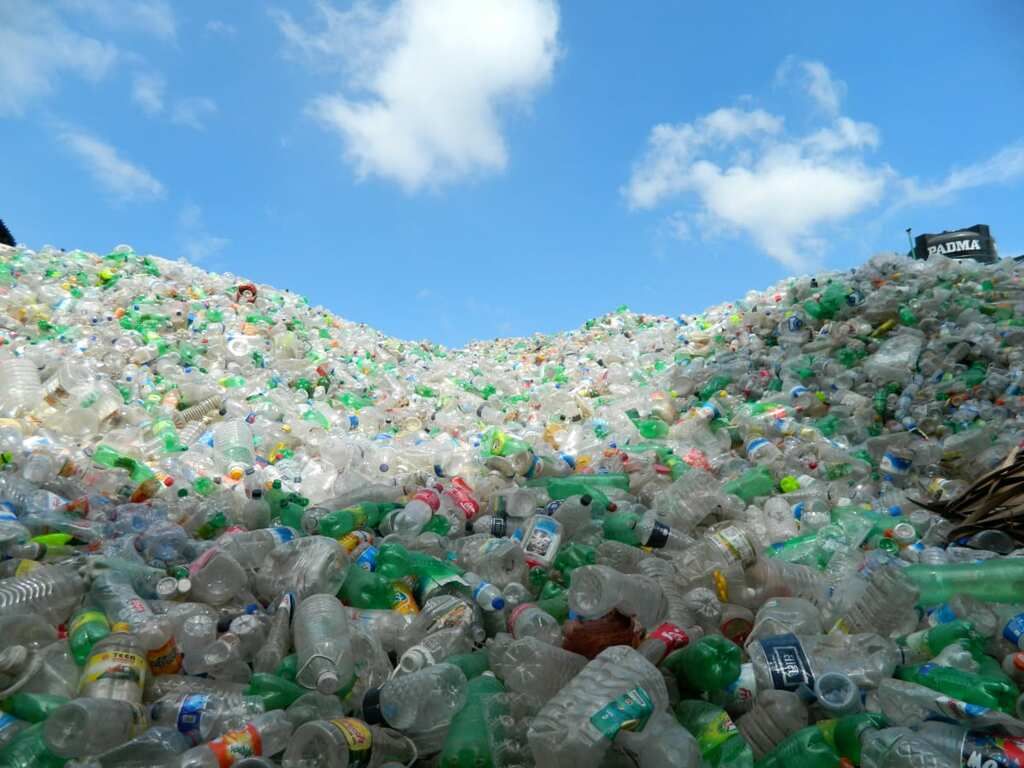 Greenwashing accusations as Pepsi goes recycled