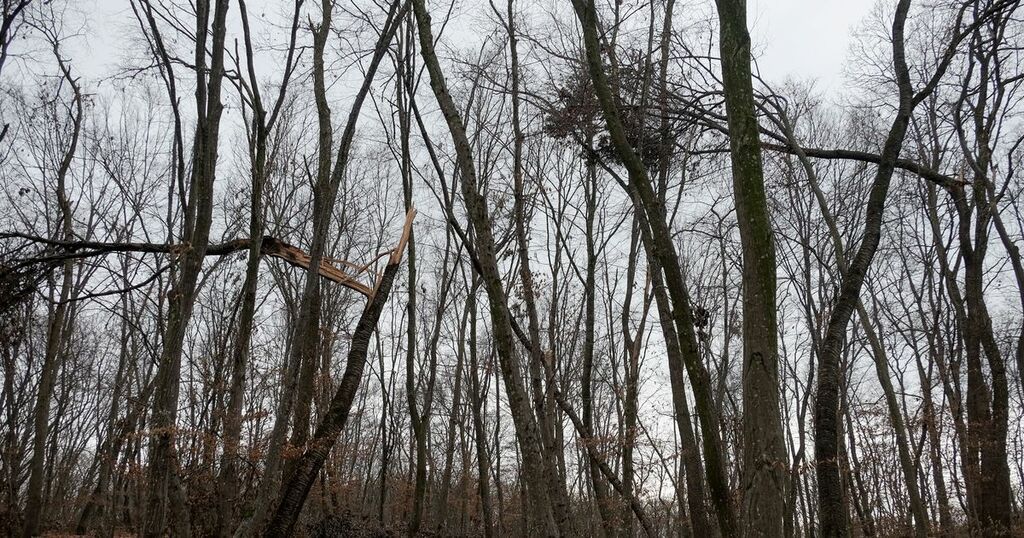 Inside world's most haunted forest - entire…