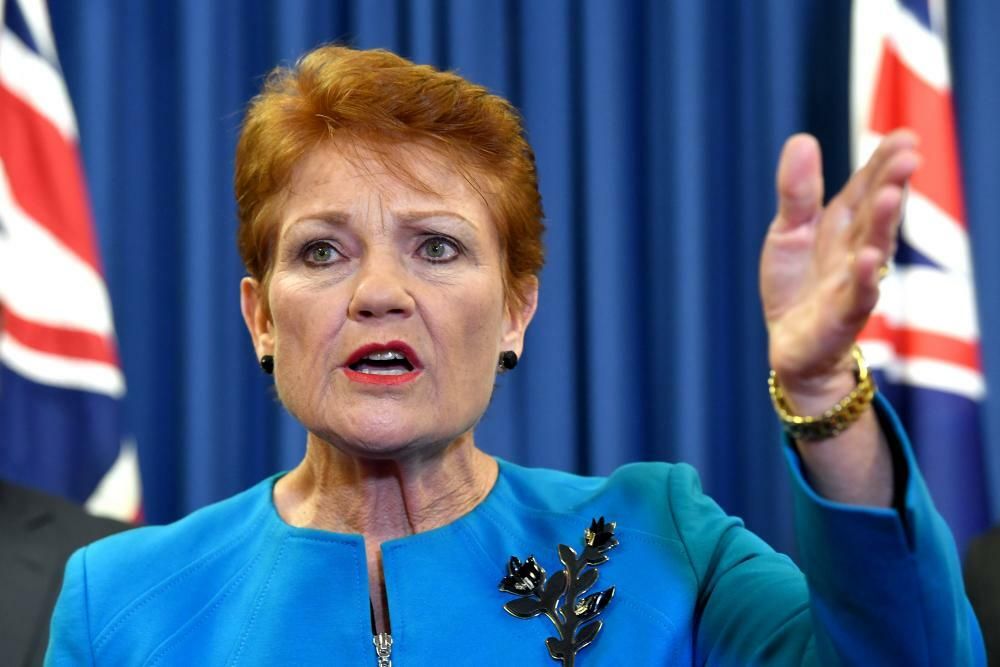 Barnaby Joyce says One Nation has changed. Is he right?